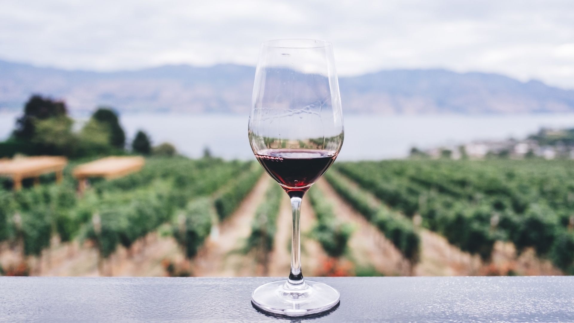 Wein & Prosecco online bestellen | Senti Vini - Weine online kaufen